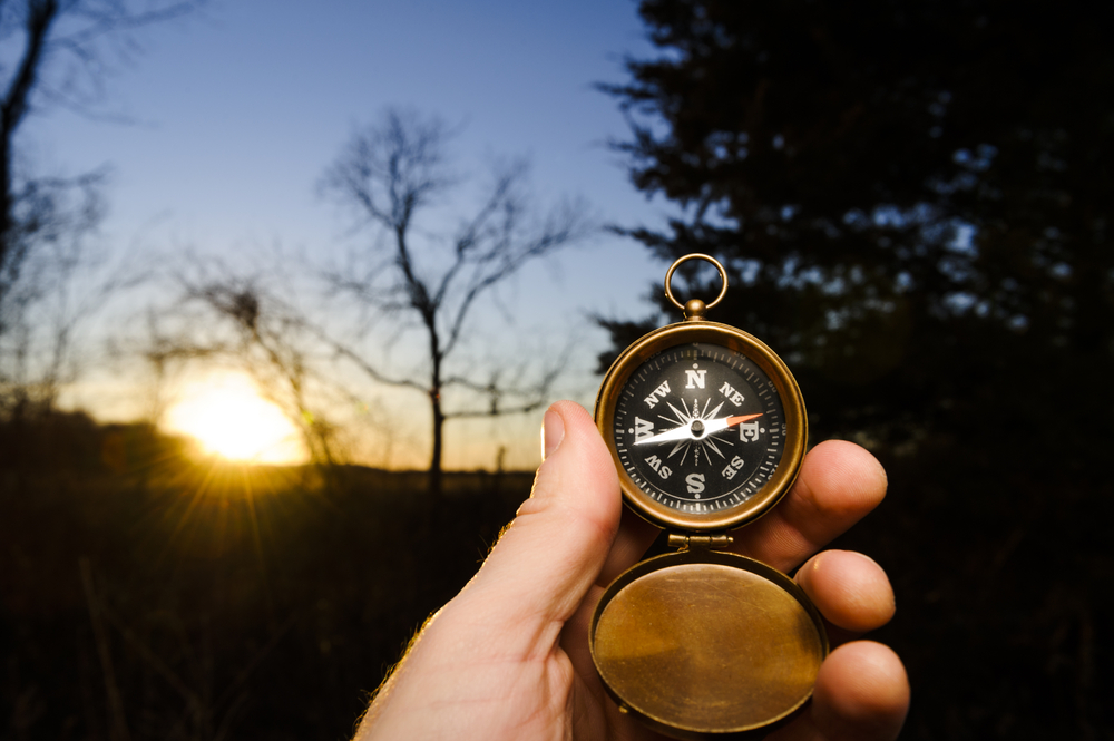 guidance | Political Harmony Consulting Services