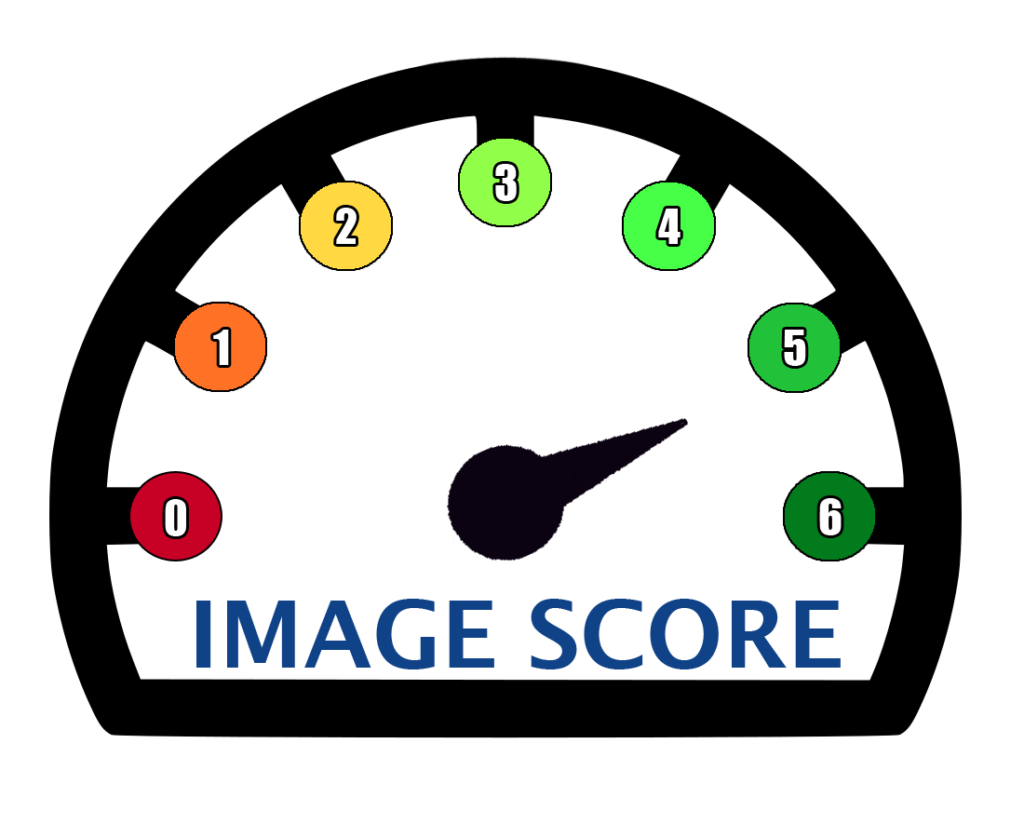 Political Harmony Consulting Services